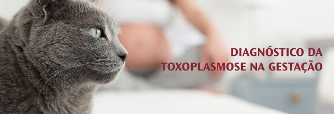 Toxoplasmose: Historie, Klassifikation – OKZAA